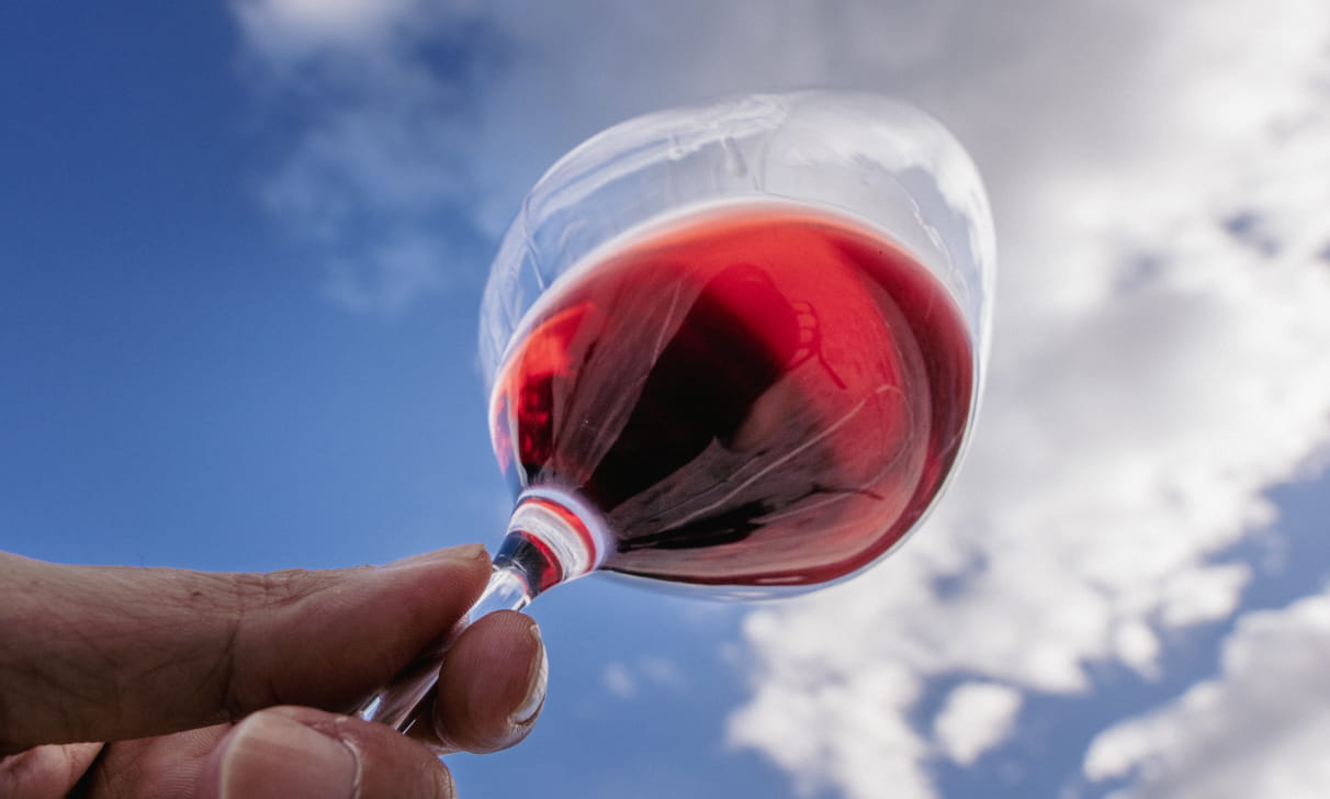 Highlands of Southwest China | Chinese Wine Regions | Wynn Signature ...