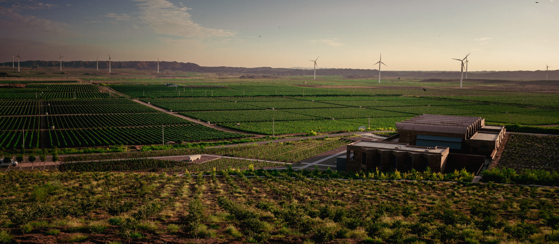 Chinese Wine Regions丨Wynn Signature Chinese Wine Awards